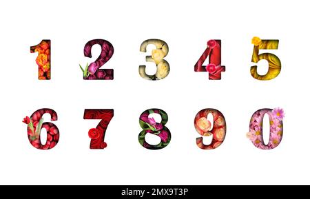 Numbers made of flowers on white background Stock Photo - Alamy