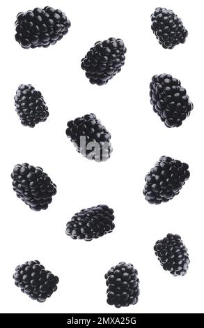 Set of ripe falling blackberries on white background Stock Photo - Alamy