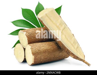 Cassava isolated on white background Stock Photo - Alamy