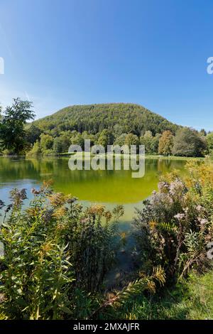 Limestone tuff landscape, limestone tuff nature trail, wooden bridge at ...