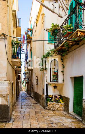 Alley of Vieste village, Apulia, Italy Stock Photo - Alamy