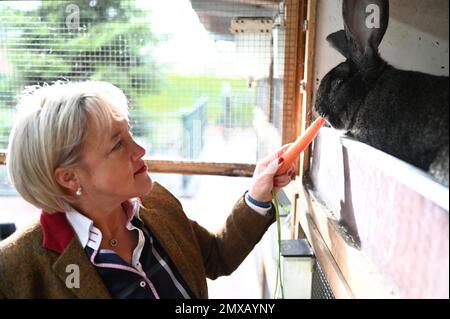 Moormerland, Germany. 01st Feb, 2023. The best rabbit breeder of ...