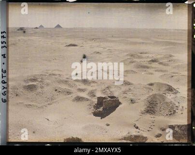 Saqqarah, Egypt, Africa seen from the pyramid of Ounas, last king of ...