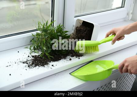 Woman cleaning window sill from soil at home, closeup Stock Photo - Alamy