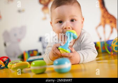 Cute baby boy nibbles and eats colourful toys because her small new ...