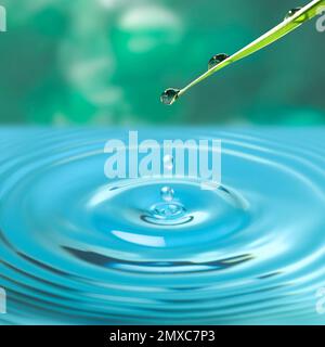 Waterdrop falling from grass blade Stock Photo - Alamy