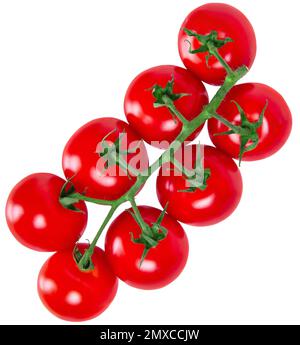 tomato branch path isolated on white top view Stock Photo - Alamy
