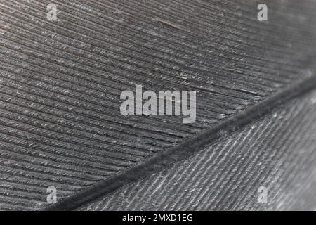 A high magnification view of a feather Stock Photo - Alamy