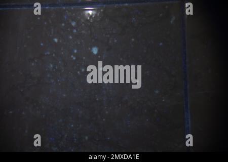 Blood spatter at the crime scene visualized with UV light and luminol ...