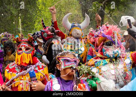 Devil carnival costume on Jujuy Stock Photo - Alamy