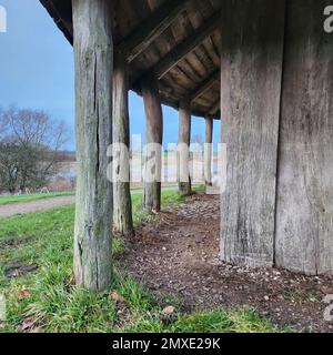 The wooden pillars that supports the reconstructed viking long house ...