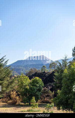 View of Paricutin, volcano in the Michoacan-Guanajuato volcanic field ...