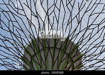 Detail of the structure of Supertree Grove, tree-like structure that ...