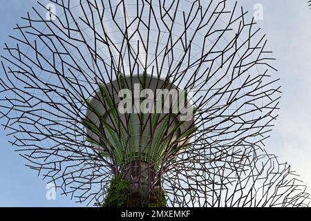 Detail of the structure of Supertree Grove, tree-like structure that ...