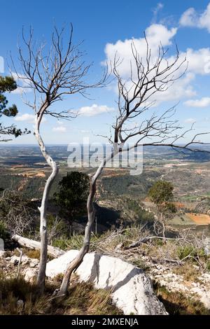 Way to la Picosa. Teruel Province Stock Photo - Alamy