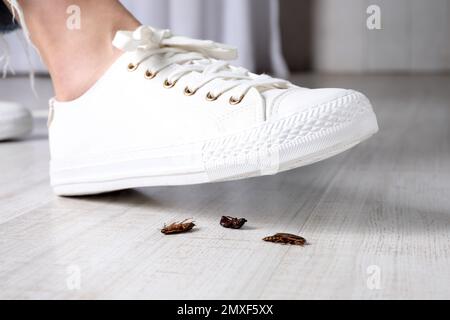 Woman crushing cockroaches with feet, closeup. Pest control Stock Photo ...