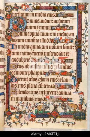 The Luttrell Psalter is an illuminated manuscript from the 14th century ...