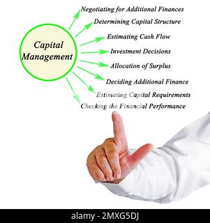 Eight functions of Capital management Stock Photo - Alamy