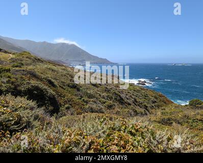 The steep cliffs descending to the sea covered with greenery Stock ...