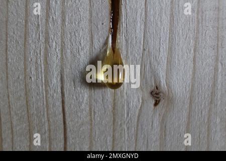 a drip of resin drips down the pine board. fresh board building ...