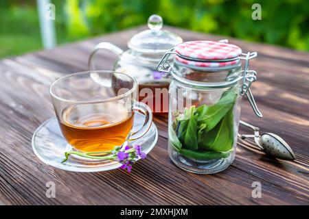 Keeping fresh medicinal herbs in the jar. Matthiola incana, Brompton ...