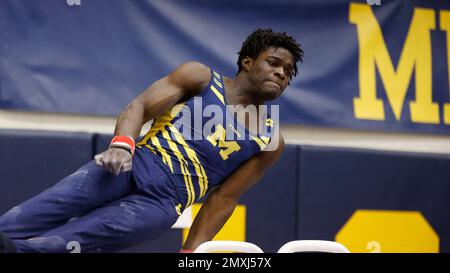 Michigan's Fred Richard competes in the pommel horse during an NCAA ...
