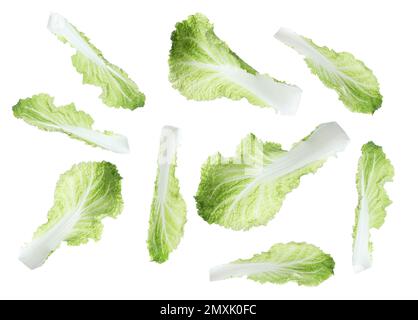 Falling chinese cabbage, isolated on white background, selective focus ...