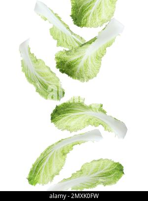 Falling chinese cabbage, isolated on white background, selective focus ...
