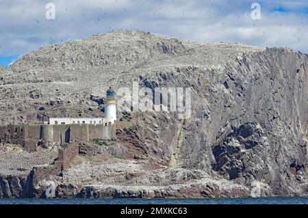 Lighthouse and cliffs, rocks, sky with countless birds, gannets Bass ...