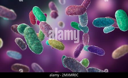 Aggregatibacter bacteria, illustration Stock Photo - Alamy