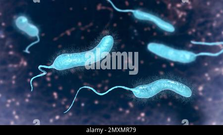 Vibrio mimicus bacteria, illustration Stock Photo - Alamy