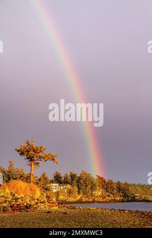 Pacific Northwest natural rainbow (2014 Stock Photo - Alamy