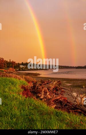 Pacific Northwest natural rainbow (2014 Stock Photo - Alamy