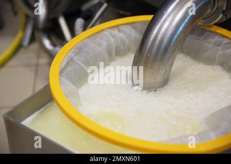 Draining whey from tank into sieve at cheese factory Stock Photo - Alamy