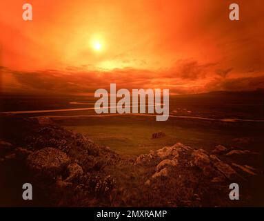 Xinjiang kaidu river swan lake Stock Photo - Alamy