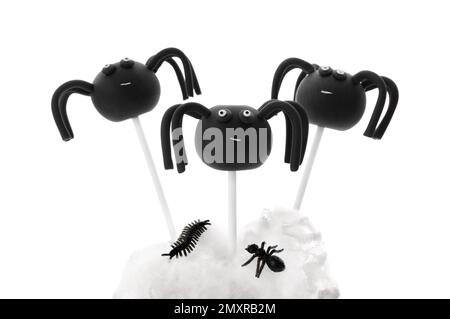 Delicious spider cake pops on white background. Halloween season Stock ...