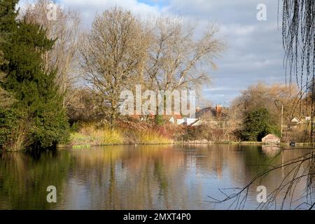 The pond in the small village of Ansty, in the Nadder Valley, Wiltshire ...