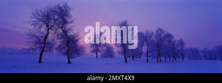 Landscape of the Rime Island in the Songhua River in Jilin city ...