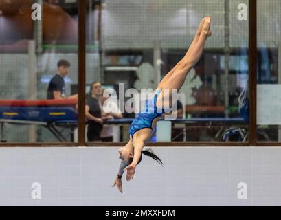 Ellen Gillespie in action during the Women’s Platform preliminary ...