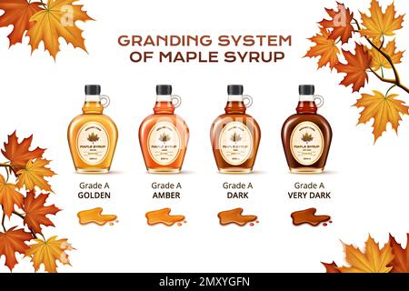 Grading system of maple syrup from golden to very dark realistic ...