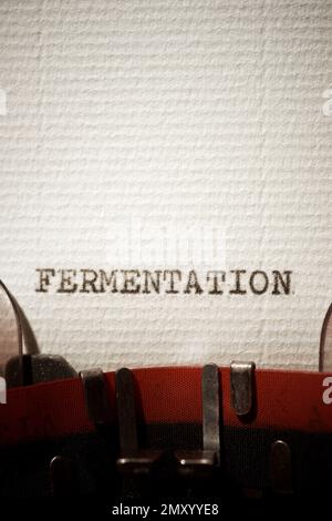 Fermentation word written with a typewriter Stock Photo - Alamy