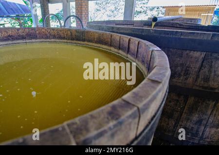 Part of the traditional process of distilling brandy from sugar cane, a ...