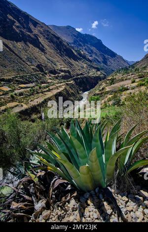 Arid landscape of sierra, mountains, grasslands, and sparse or shrubby ...