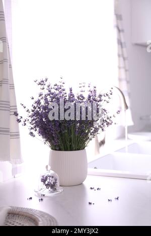 Beautiful lavender flowers on countertop near sink in kitchen Stock ...