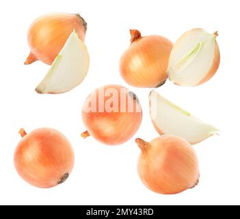 Cut and whole onion bulbs falling on white background Stock Photo - Alamy
