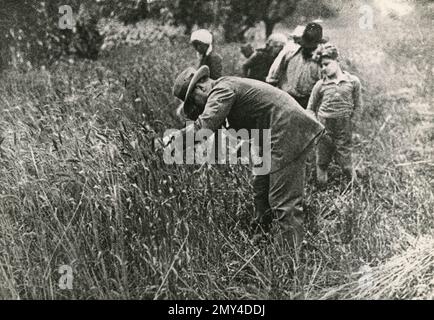 Italian dictator Benito Mussolini Stock Photo - Alamy