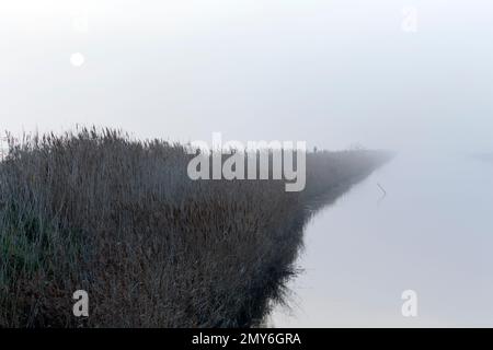 A photo of water and fog in Comacchio lagoon, Italy Stock Photo - Alamy