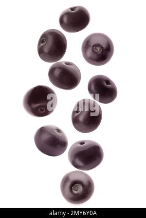 Fresh acai berries falling on white background Stock Photo - Alamy