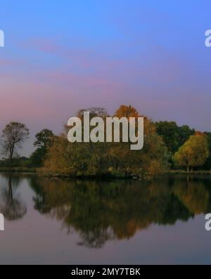 Tree reflections on a pink tinted lake in Richmond, London Stock Photo ...