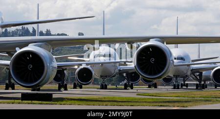 Boeing 7-series passenger airplanes sit parked in a lineup formation ...
